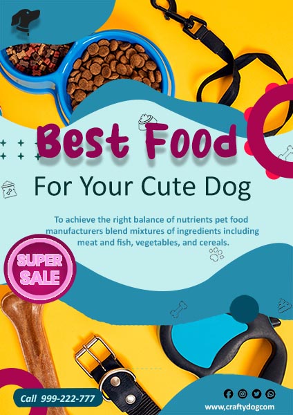 Free and Editable Flyer Templates