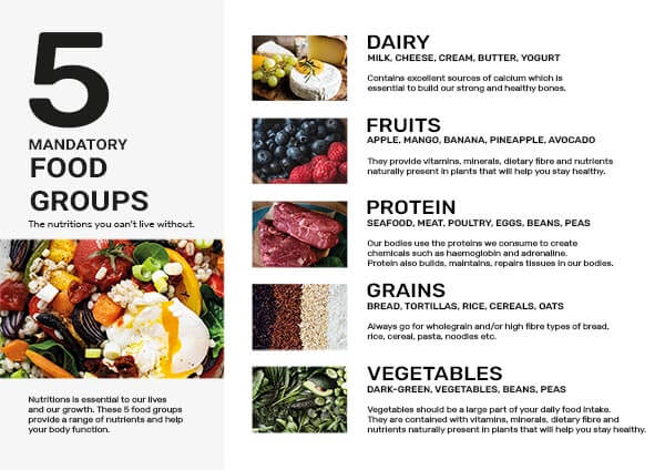 Download Food Recipe Poster