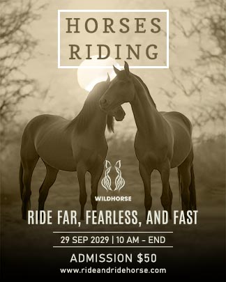 Free and Editable Flyer Templates