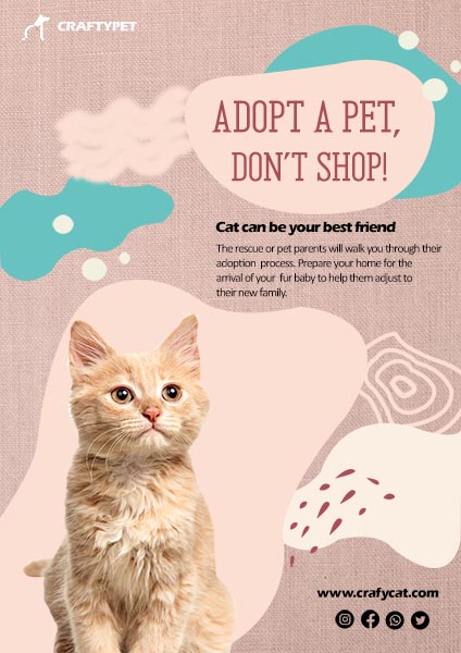 Animal Pat Care Service Portrait Template